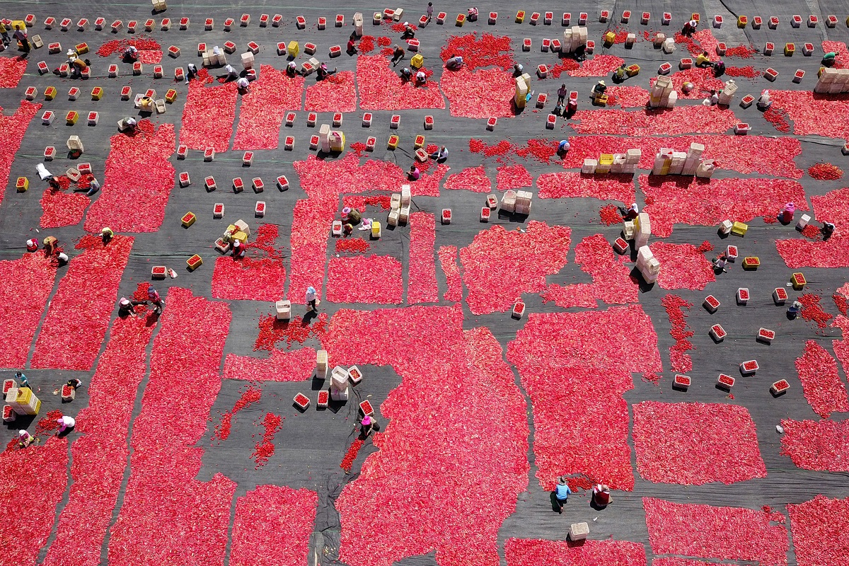 European governments must take responsibility for their companies in ...