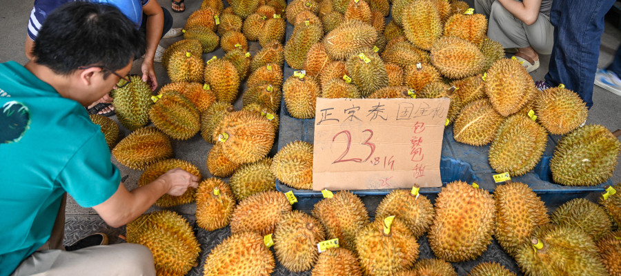 Mercator Institute for China Studies (MERICS)